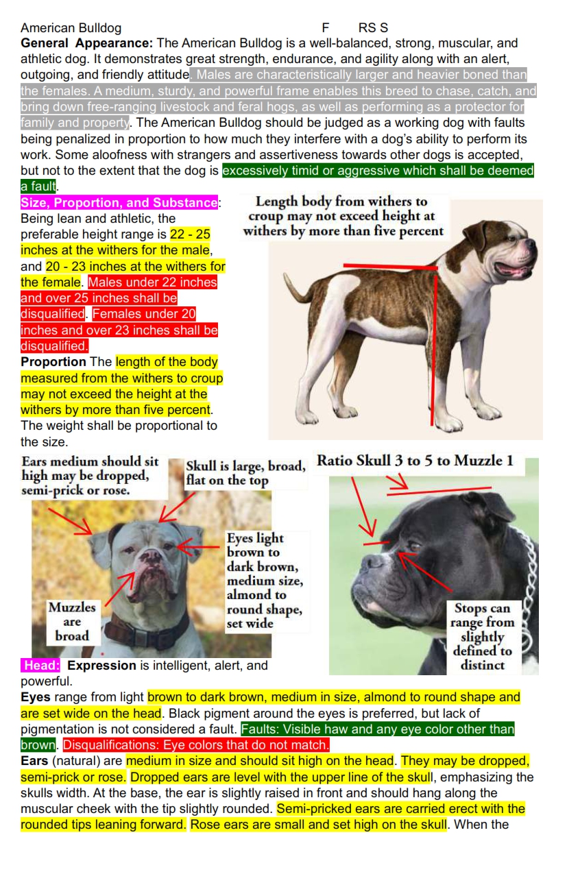 American Bulldog AKC Breed Standard - Breed Standard Library